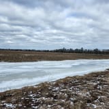 Navarino Nature Center Loop Trail, Wisconsin - 169 Reviews, Map | AllTrails