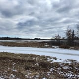 Navarino Nature Center Loop Trail, Wisconsin - 169 Reviews, Map | AllTrails