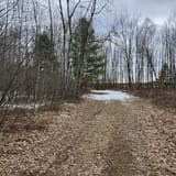 Navarino Nature Center Loop Trail, Wisconsin - 169 Reviews, Map | AllTrails