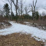 Navarino Nature Center Loop Trail, Wisconsin - 169 Reviews, Map | AllTrails