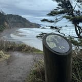 Clatsop Loop Trail from Indian Beach, Oregon - 2,551 Reviews, Map ...
