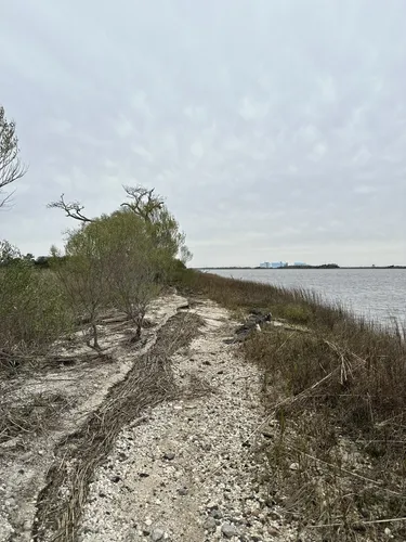 Best Hikes and Trails in Tybee Island | AllTrails