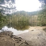 Fragrance Lake Trail, Washington - 2,716 Reviews, Map | AllTrails