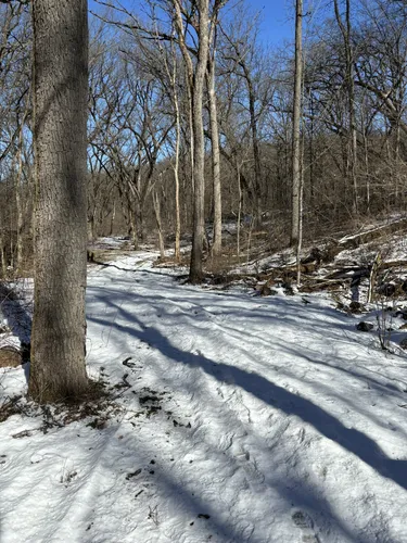 Best Easy Trails in Governor Dodge State Park | AllTrails