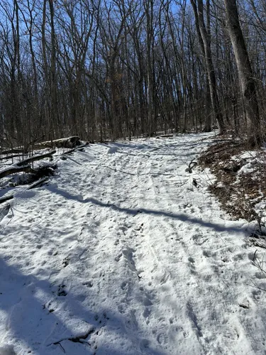 Best Easy Trails in Governor Dodge State Park | AllTrails