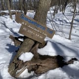 Peters Mountain Ridge via Appalachian Trail, Pennsylvania - 1,512 ...