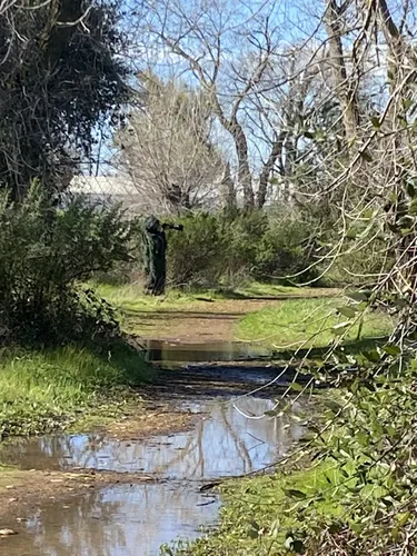Best Hikes and Trails in Mather Regional Park | AllTrails