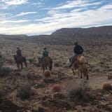 Fossil Ridge Loop, Nevada - 831 Reviews, Map | AllTrails