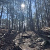 Kings Chair Loop, Alabama - 1,913 Reviews, Map | AllTrails