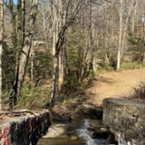Henderson Park Loop, Georgia - 1,574 Reviews, Map | AllTrails