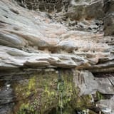 Tanbark Loop, New York - 574 Reviews, Map | AllTrails