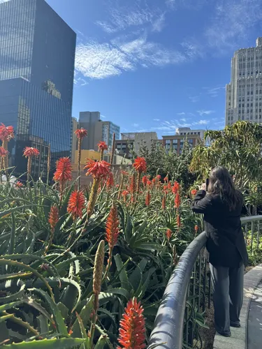 Best Hikes and Trails in Salesforce Park | AllTrails