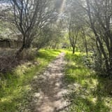 Johnny Cash, Folsom Lake, and American River Bike Loop, California ...