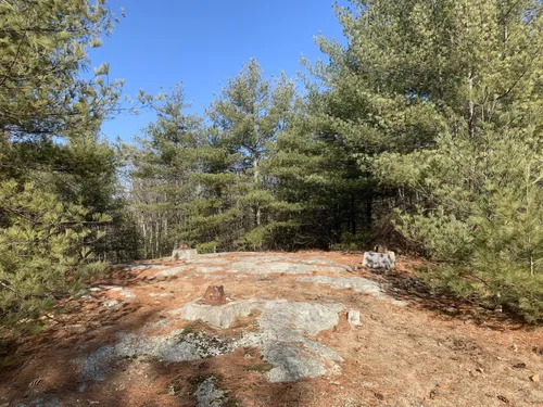 Best Hikes and Trails in Rock Rimmon State Forest | AllTrails