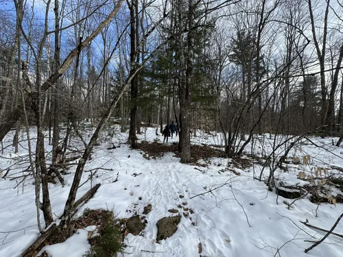 Best Short Trails in Dunbarton | AllTrails