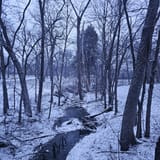 Walnut Grove Park Loop, Nebraska - 91 Reviews, Map | AllTrails