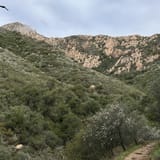 Inspiration Point, California - 3,898 Reviews, Map | AllTrails
