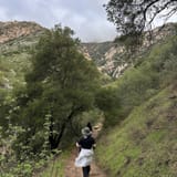 Inspiration Point, California - 3,859 Reviews, Map | AllTrails