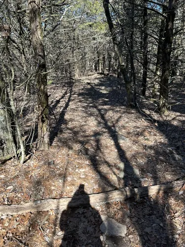 Best Hikes and Trails in Pilot Knob Conservation Area | AllTrails