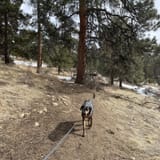 Genesee Mountain Trail Outer Loop, Colorado - 1,389 Reviews, Map ...