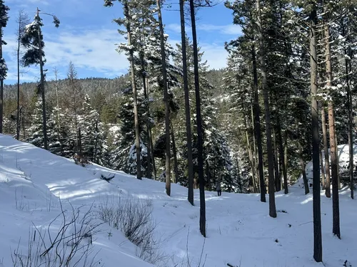 Best Hikes and Trails in Squilchuck State Park | AllTrails