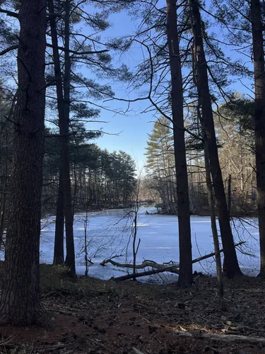 Best Hikes and Trails in Broadmoor Wildlife Sanctuary | AllTrails