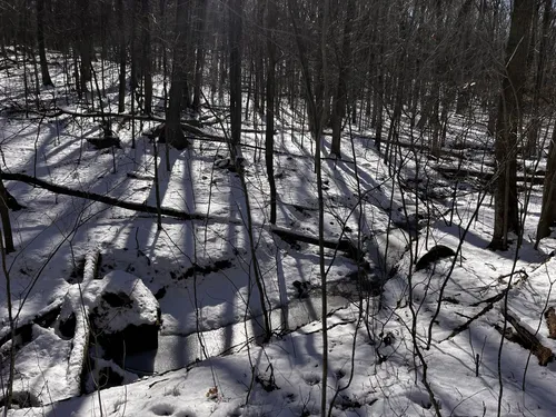 Best Hikes and Trails in Lost Lake State Natural Area | AllTrails