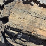 Pontatoc Ridge Trail, Arizona - 1,851 Reviews, Map | AllTrails