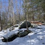 Zoar Trail, Connecticut - 2,152 Reviews, Map | AllTrails