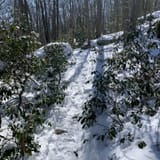 Zoar Trail, Connecticut - 2,152 Reviews, Map | AllTrails