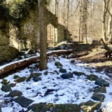 Alberton Road Trail, Maryland - 1,366 Reviews, Map | AllTrails