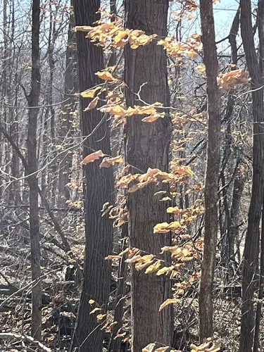 Best Hikes and Trails in Wickiup Hill County Park | AllTrails