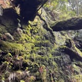 Cecilia Waterfall via Cecilia Forest, Western Cape, South Africa ...