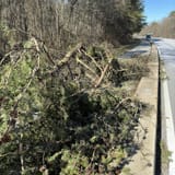 BWI Trail, Maryland - 2,822 Reviews, Map | AllTrails