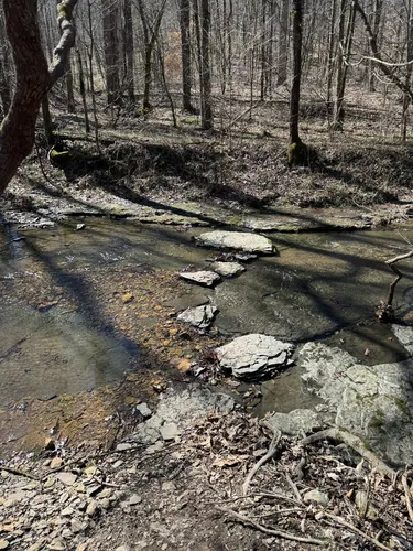 Best Hikes and Trails in Beaman Park | AllTrails