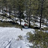 Monkey Rock Trail, Nevada - 5,331 Reviews, Map | AllTrails