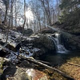Cascade Falls Trail, Maryland - 1,825 Reviews, Map | AllTrails