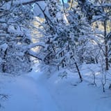 Tibble Fork Loop Trail, Utah - 763 Reviews, Map | AllTrails