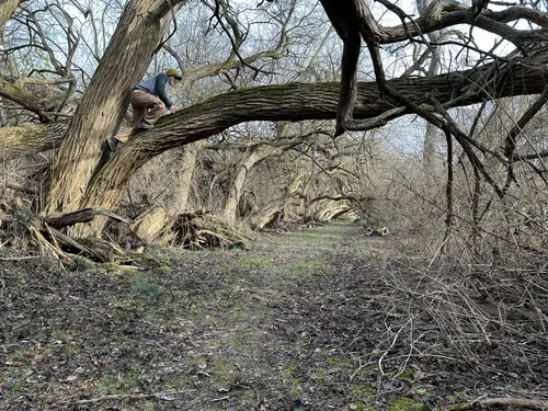 Best Hikes and Trails in Wye Island Natural Resource Management Area ...