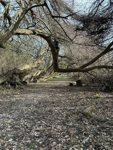 Best Hikes and Trails in Wye Island Natural Resource Management Area ...