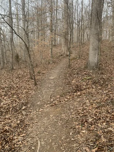 Best Hikes and Trails in Confluence Natural Area | AllTrails