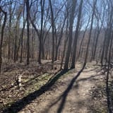 Mossy Ridge Trail, Tennessee - 6,437 Reviews, Map | AllTrails