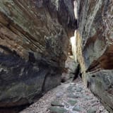 Panther Den Loop, Illinois - 873 Reviews, Map | AllTrails