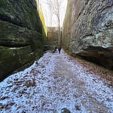 Panther Den Loop, Illinois - 946 Reviews, Map | AllTrails