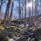 Panther Den Loop, Illinois - 873 Reviews, Map | AllTrails