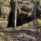 Panther Den Loop, Illinois - 946 Reviews, Map | AllTrails