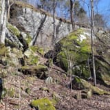 Panther Den Loop, Illinois - 873 Reviews, Map | AllTrails