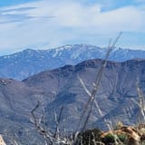 Picketpost Mountain Trail, Arizona - 2,144 Reviews, Map | AllTrails