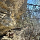 Cross Timbers Hiking Trail, Texas - 1,431 Reviews, Map | AllTrails