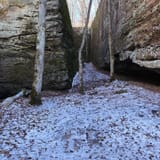 Panther Den Loop, Illinois - 946 Reviews, Map | AllTrails